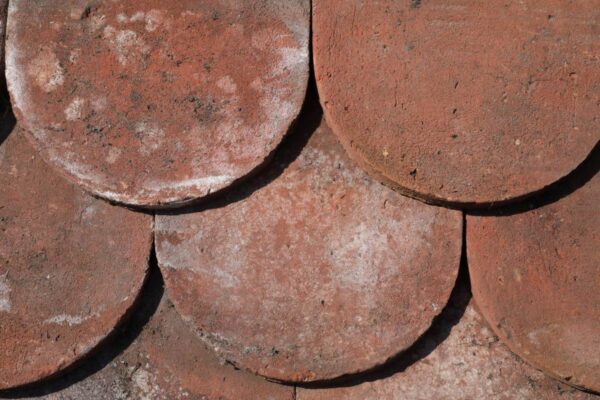 Reclaimed Beaver Tail Roof Tiles- Terracotta 11 1/2" - Watling Reclamation