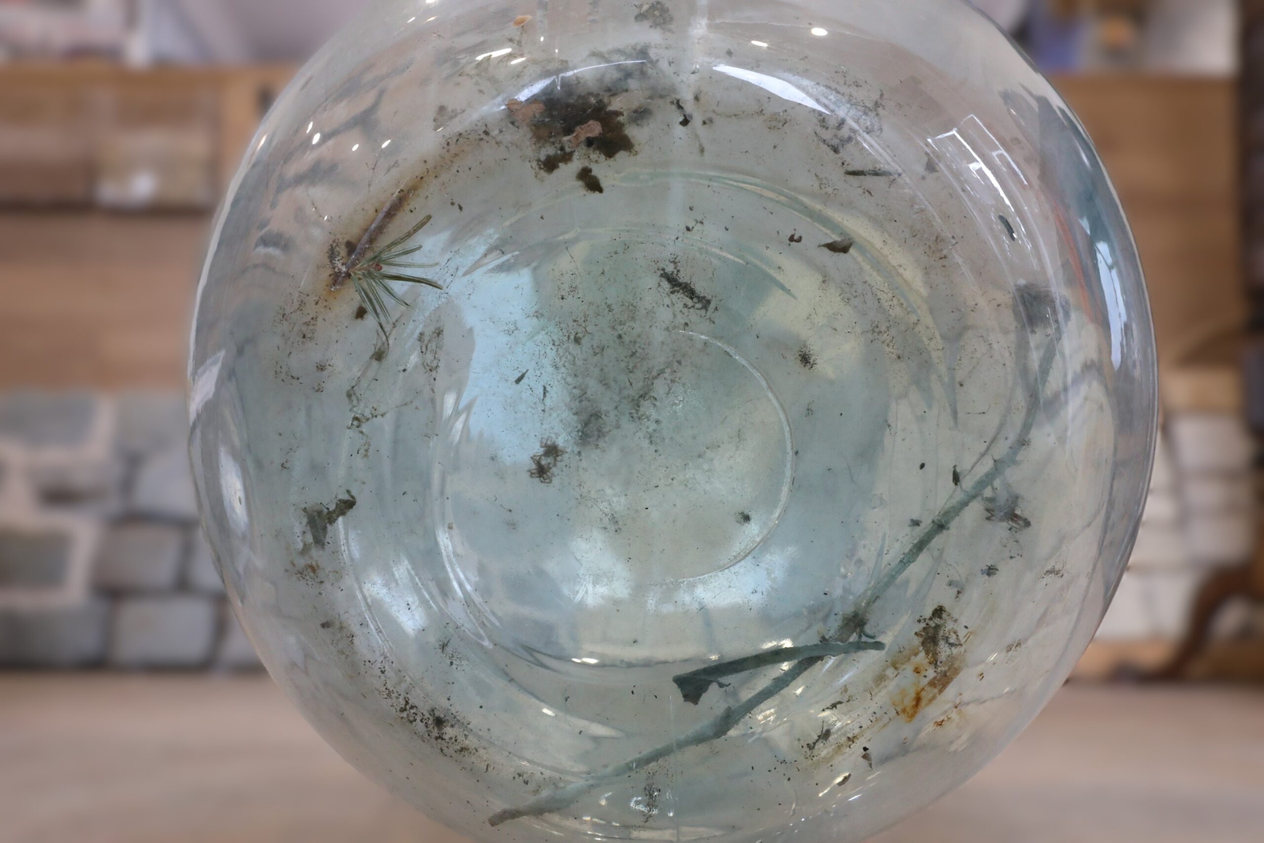 Vintage Glass Demijohn Terrarium 56cm H - Watling Reclamation